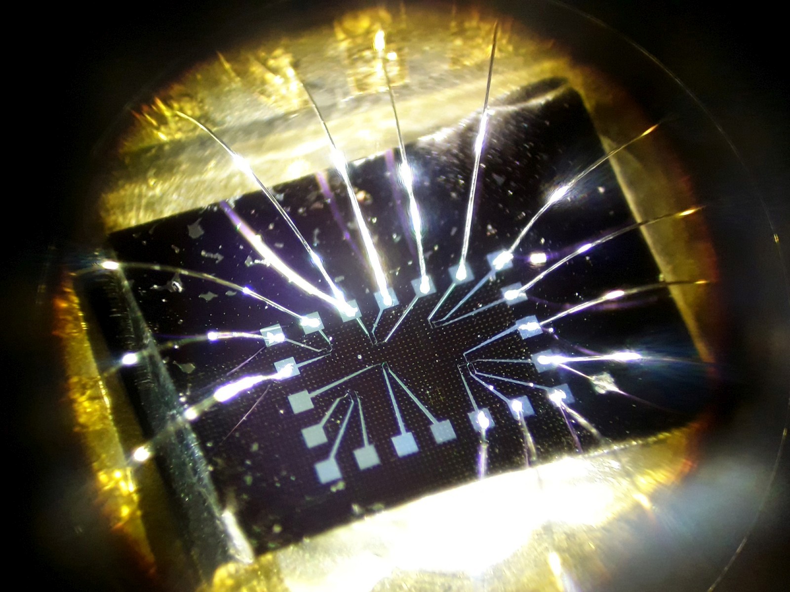 Quantum Transport Lab